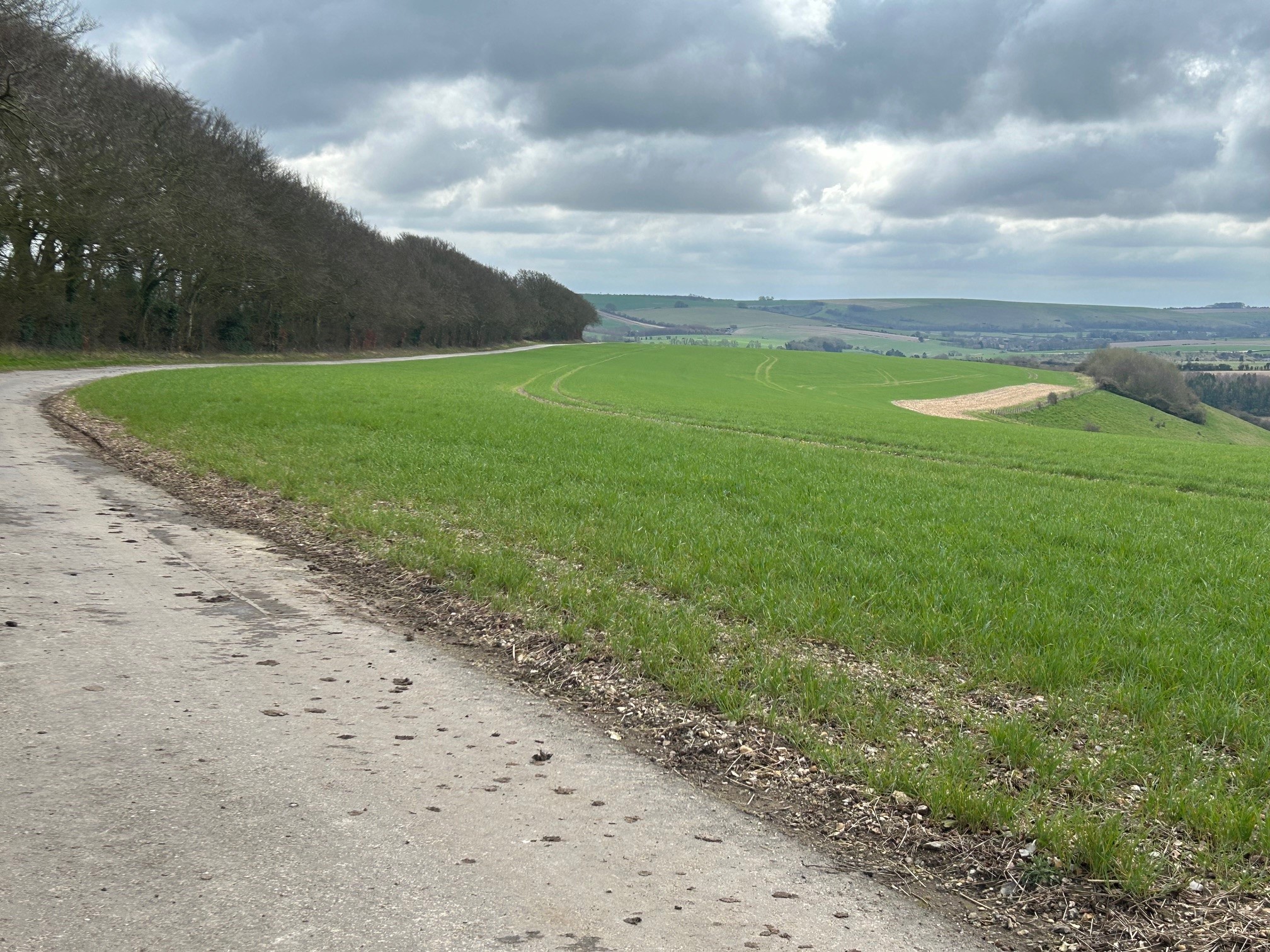 Heritage Events | East Dorset Heritage Trust